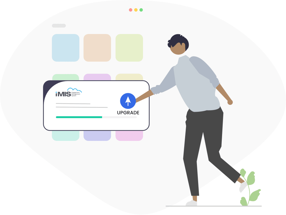 iMIS Services – Data Impact Solutions LLC